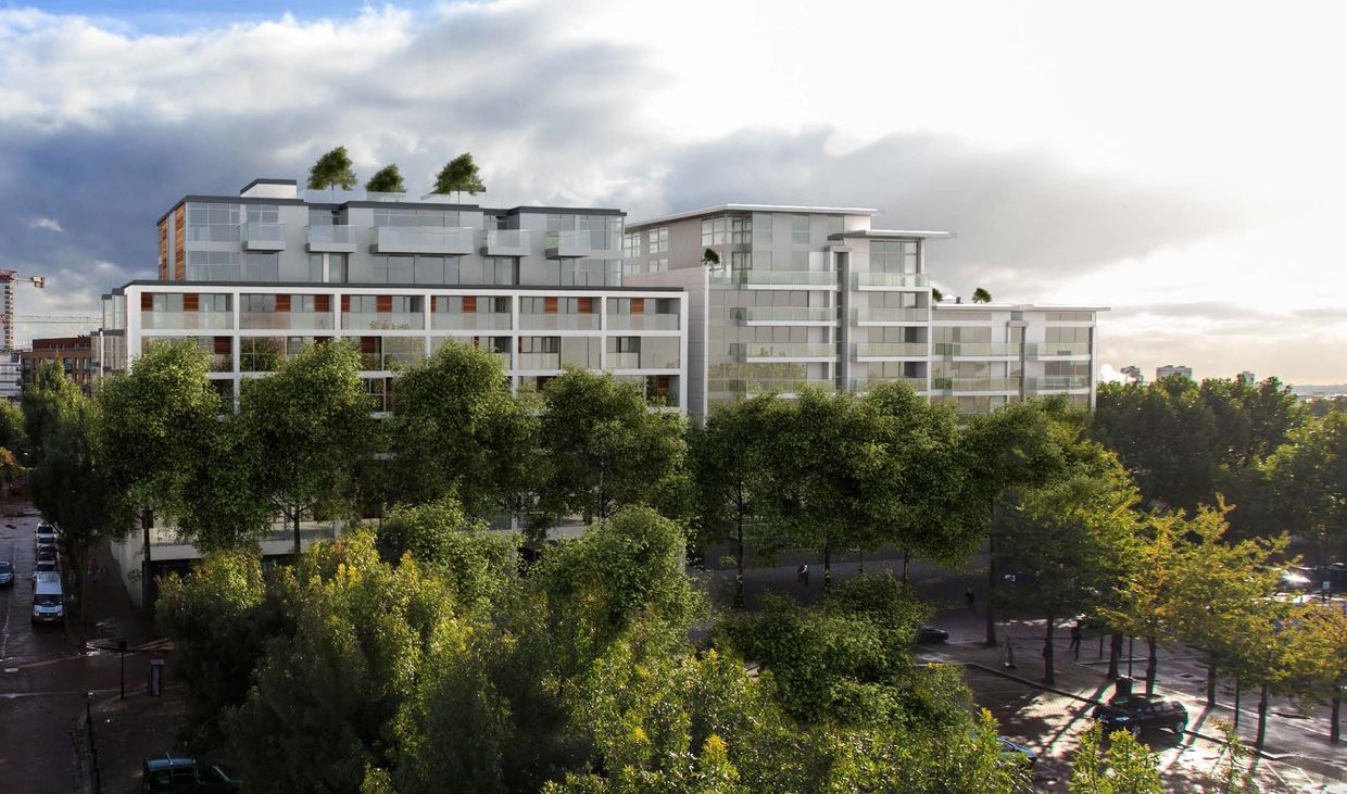 About Vision Develop | Vision Point